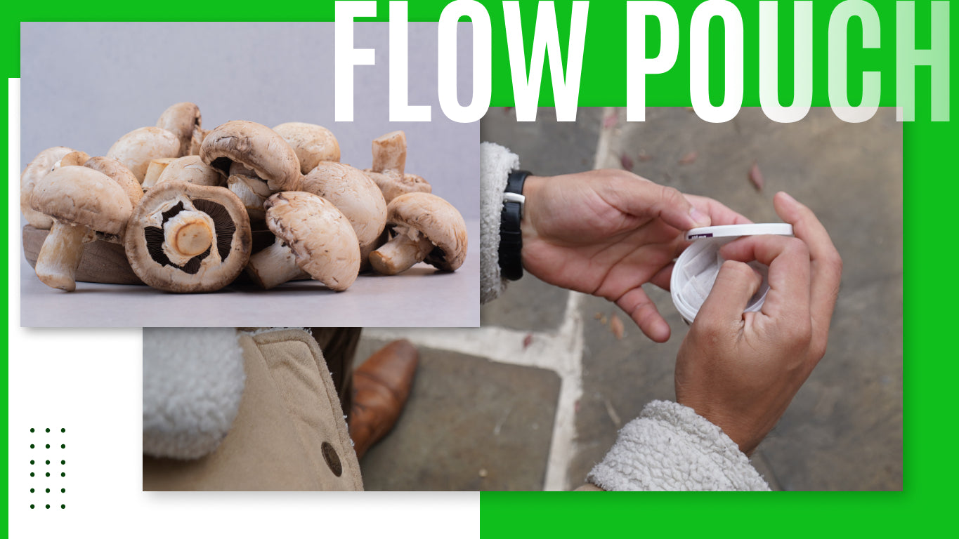 How to Quit Nicotine Pouches Safely & Effectively – FLOWPOUCH