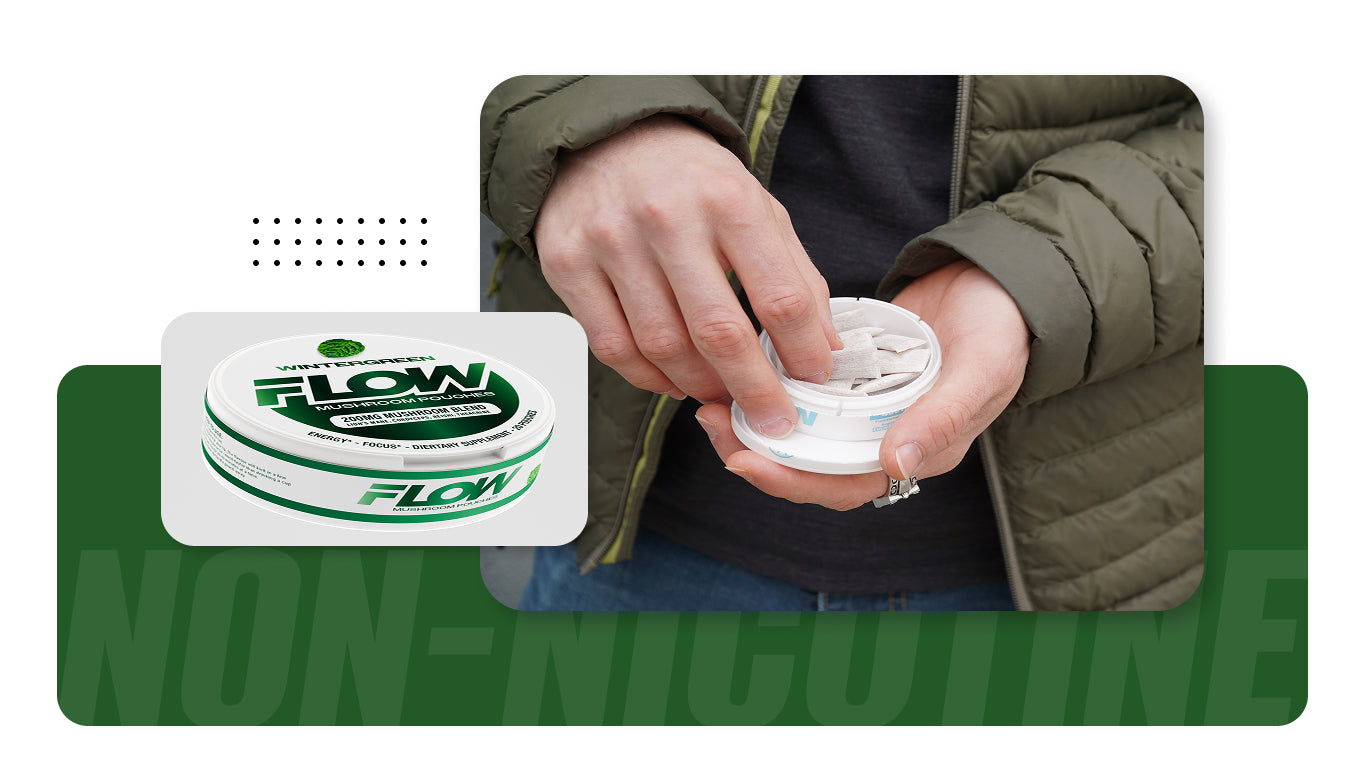 Non-Nicotine Pouches: Healthy Energy Alternative – FLOWPOUCH