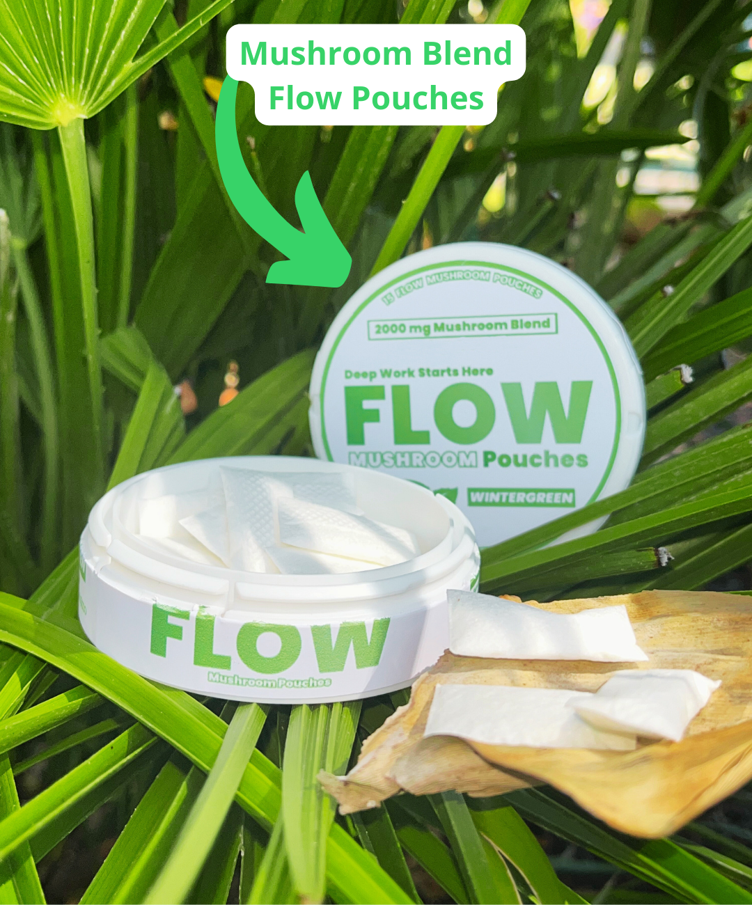 FLOWPOUCH
